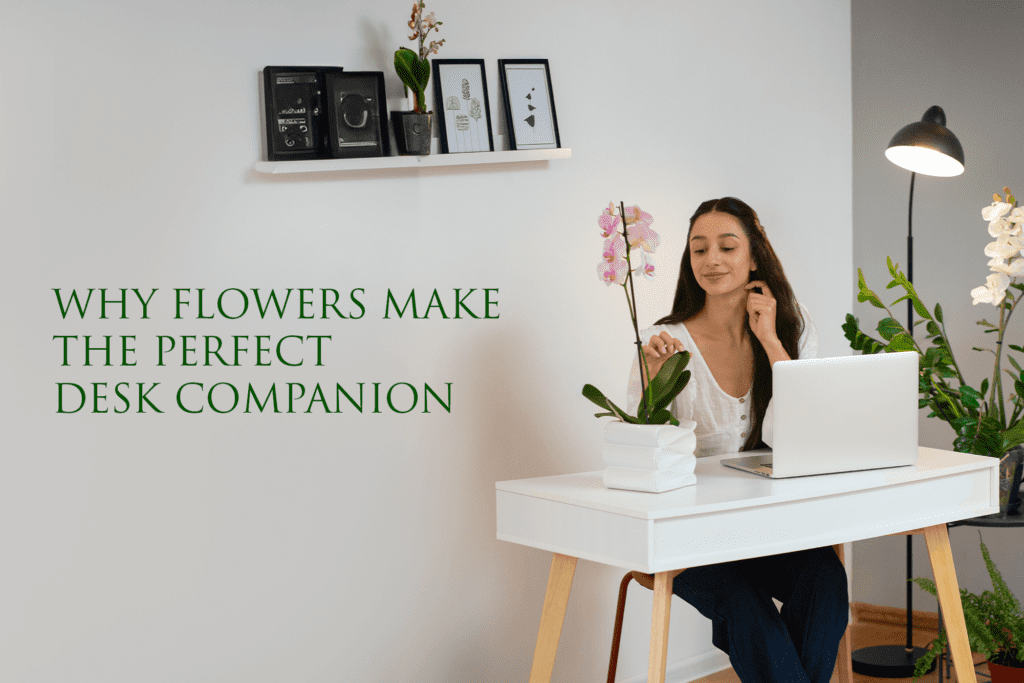 Flowers For Office Desk - 5 Reasons Why Flowers Make the Perfect Desk ...