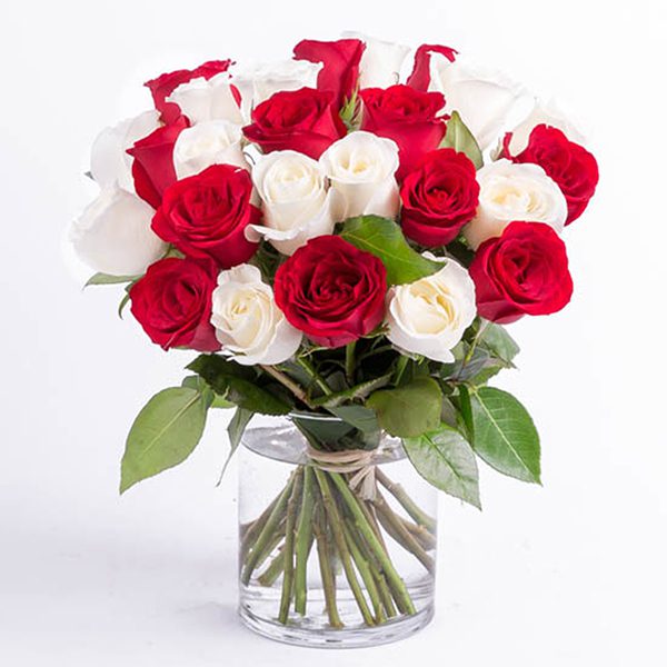 Roses in Vase | Online Red and White Roses in Bangalore | Order Now ...