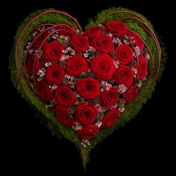 My Heart Only | Flower Delivery Bangalore Online | Order Now at ...