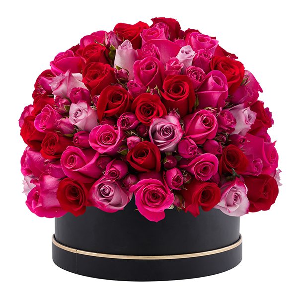 Lavish Pink Roses | Best Flower Bokeh for Birthday Delivery | JF