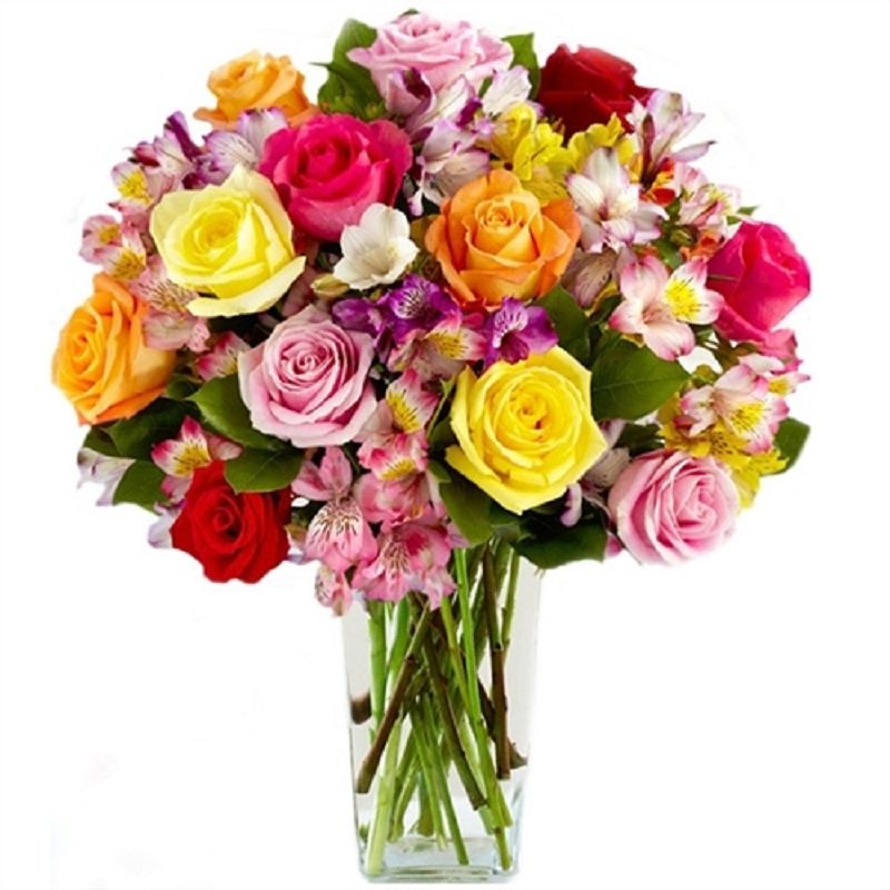 Marvelous Blooms | rose Flowers with Delivery | Order Now at ...