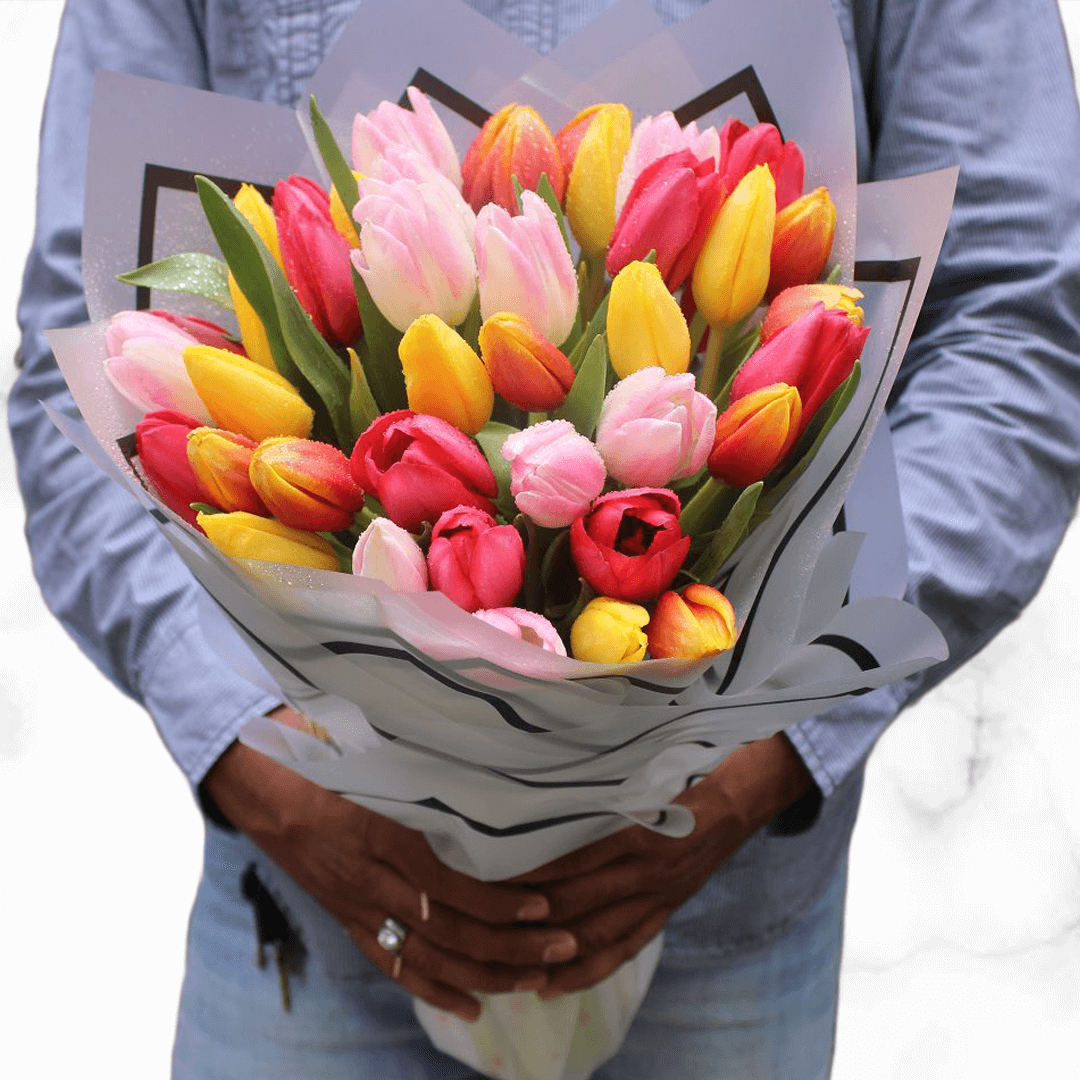 Buy tulips store