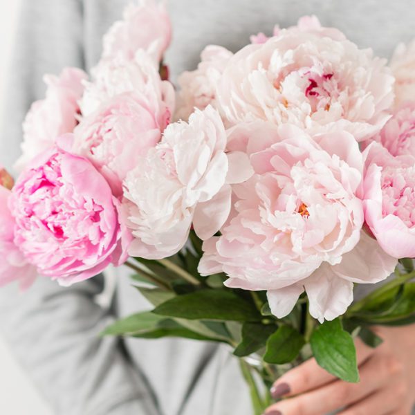 Peonies near me store
