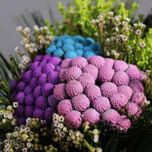 Best Flower Shop Bangalore | Florist in India | Send Flowers to India ...